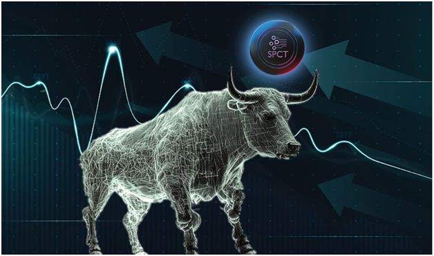 Unveiling the Success Behind SPCT’s 900% Returns: A Comparative Study ...
